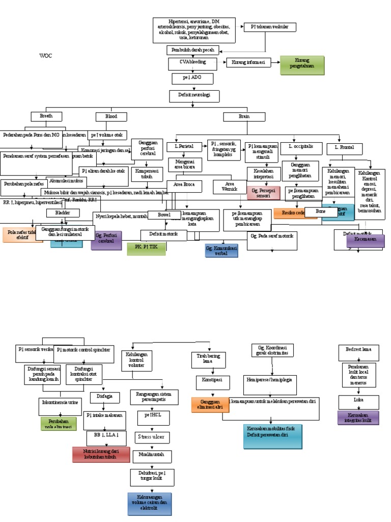 Woc Cva Bleeding New | PDF | Seni