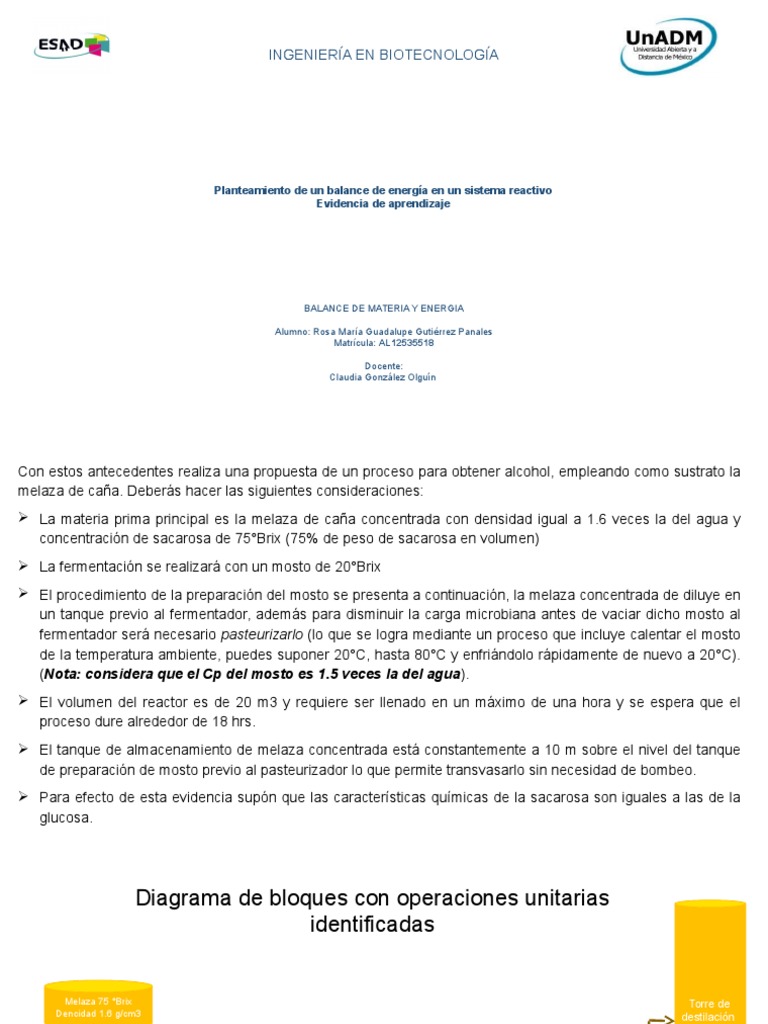 Bbme U2 Ea Rogp | PDF | Melaza | Universo físico