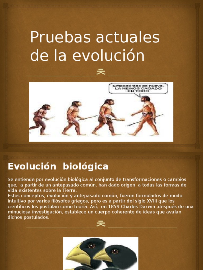 Pruebas Actuales de La Evolución | PDF | Charles Darwin | Evolución