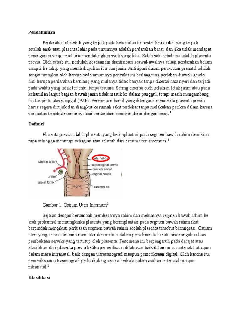 Plasenta Letak Rendah | PDF | Kesehatan Holistik | Sains & Matematika