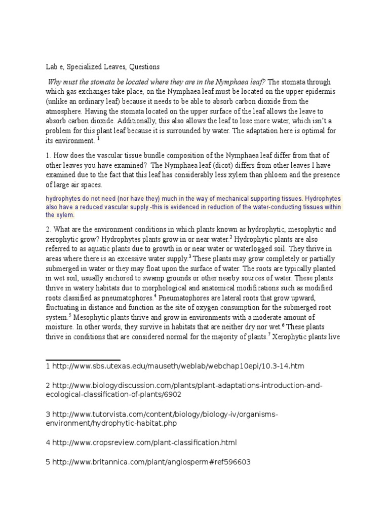 Special Leaves | Download Free PDF | Root | Plants