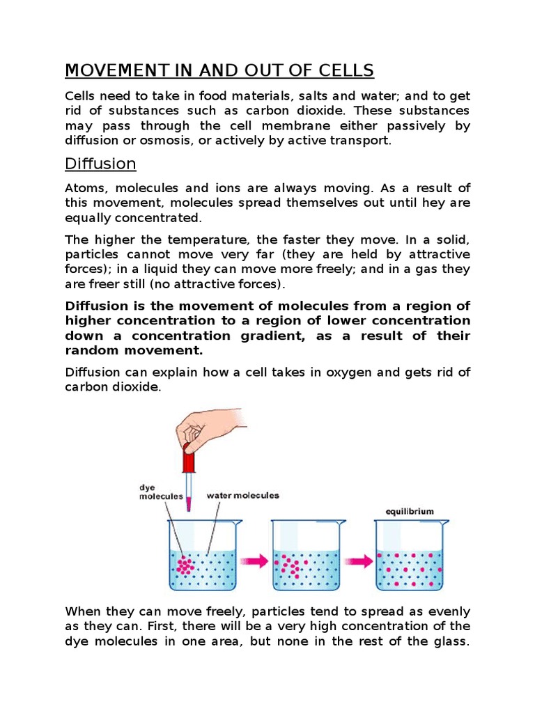 Movement in and Out of Cells