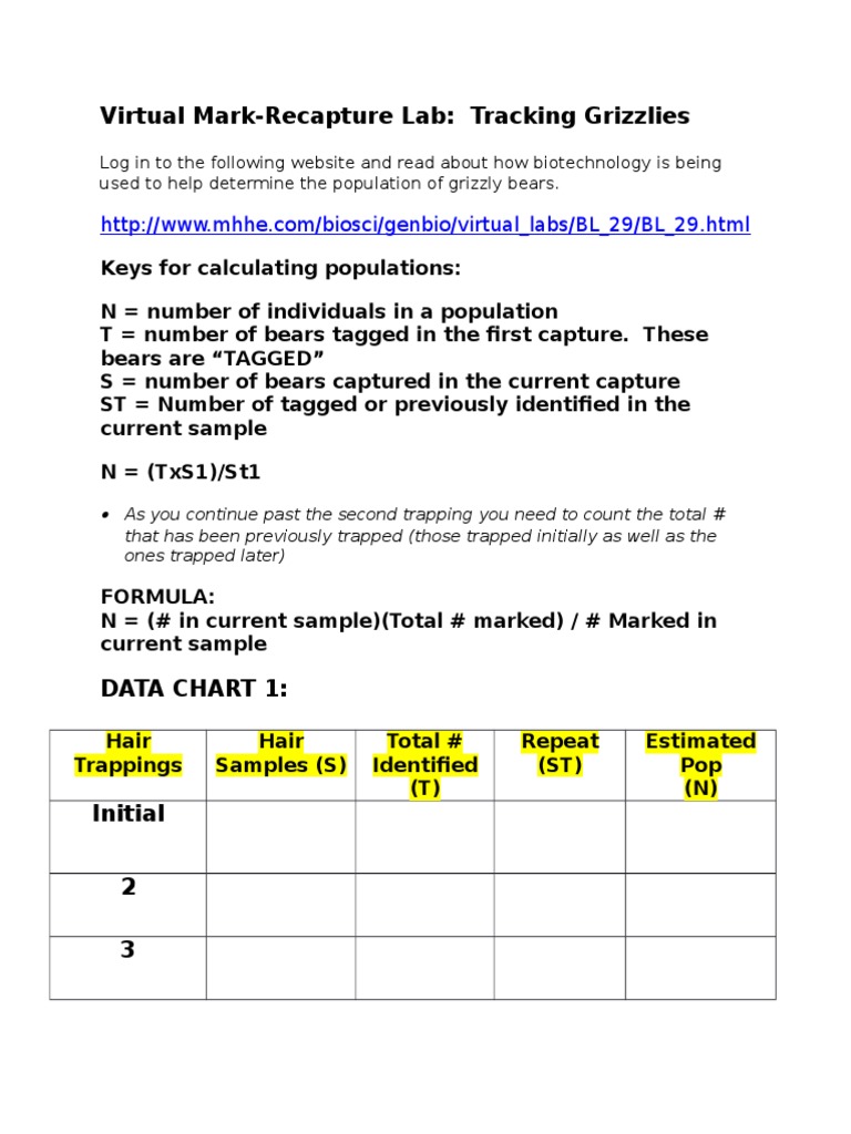 Virtual Mark Recapture Lab - Tracking Grizzlies | PDF | Gel ...