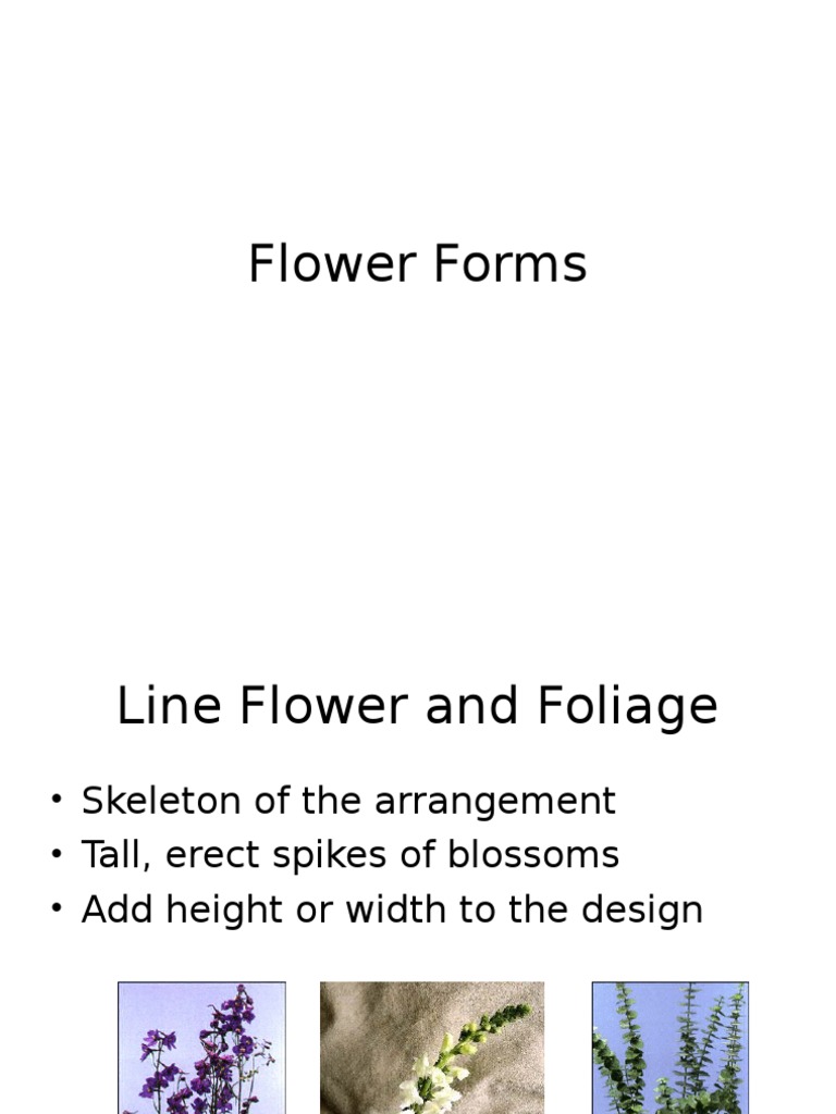 Flower Arrangement Types | PDF