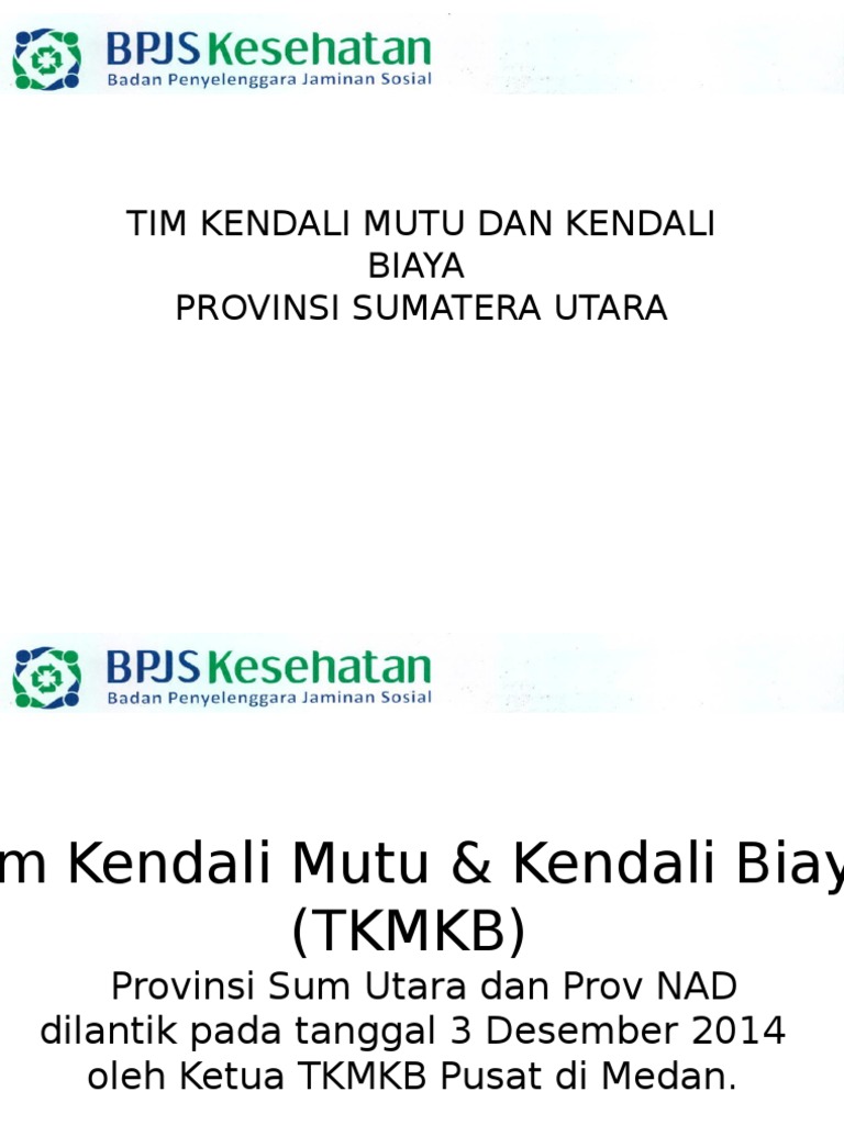 Tim Kendali Mutu Dan Kendali Biaya | PDF