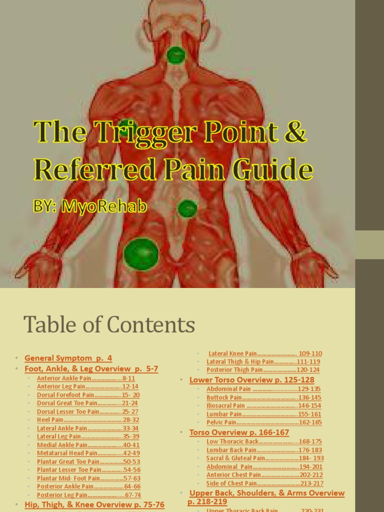 Iliopsoas The Trigger Point Referred Pain Guide