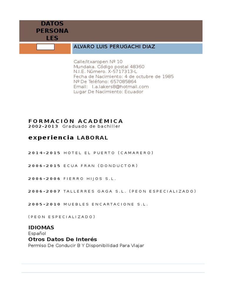 Curriculum Vitae Alvaro | PDF