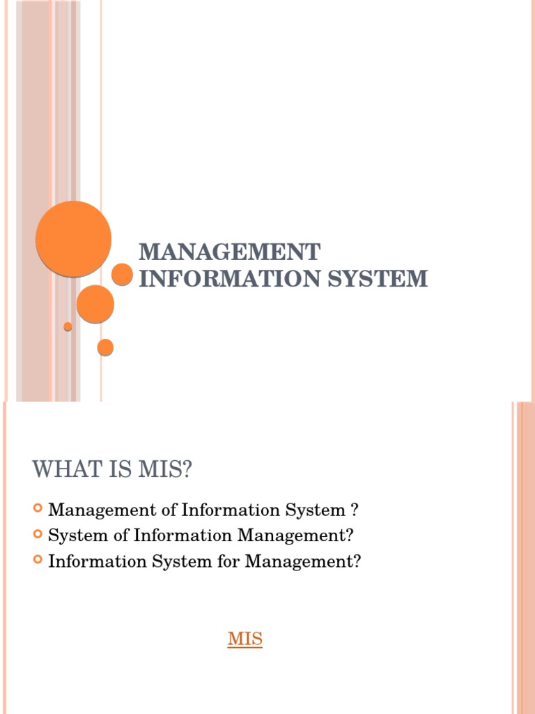 IMI - Management Information System | PDF | Information System ...
