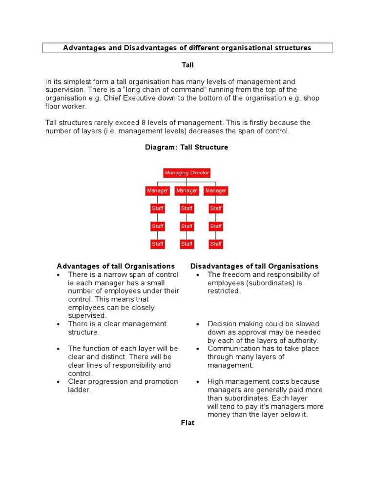 Organisational Structures Advantages and Disadvantages | PDF ...