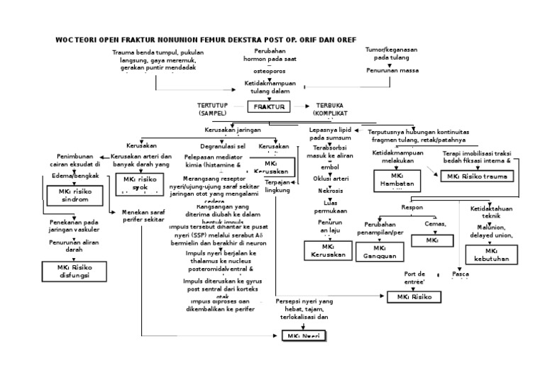 Woc Teori Open Fraktur Nonunion Femur Dekstra Post Op | PDF