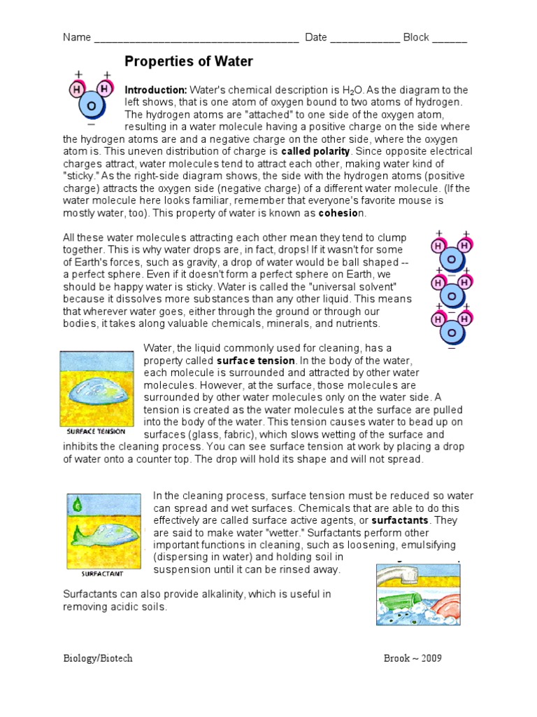 Penny Lab 09 | PDF | Properties Of Water | Surfactant