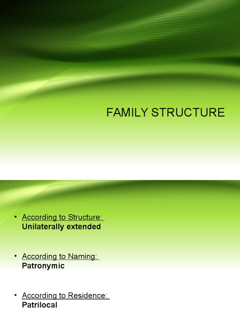 Family Structure | PDF | Caregiver | Family