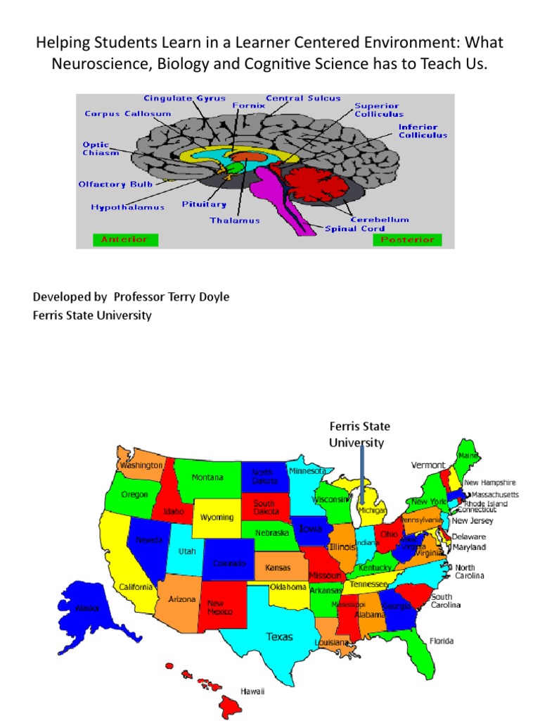 2010 LCT and Neuroscience | PDF | Memory | Learning