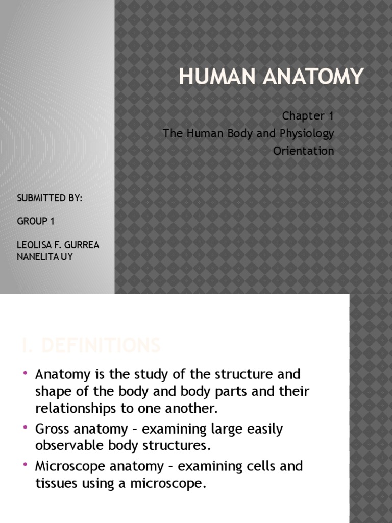 Human Anatomy: The Human Body and Physiology Orientation | PDF ...
