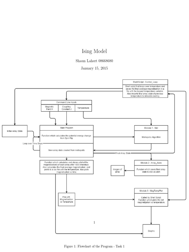 Ising Model | PDF | Control Flow | Temperature