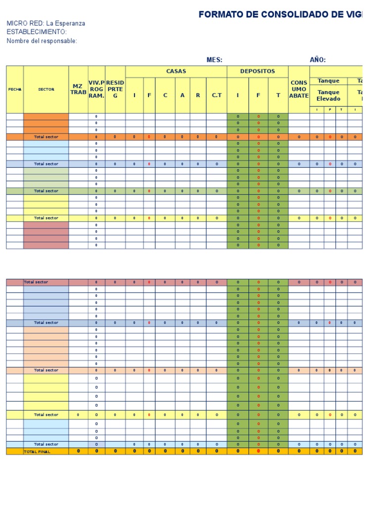 Formato Consolidado | PDF
