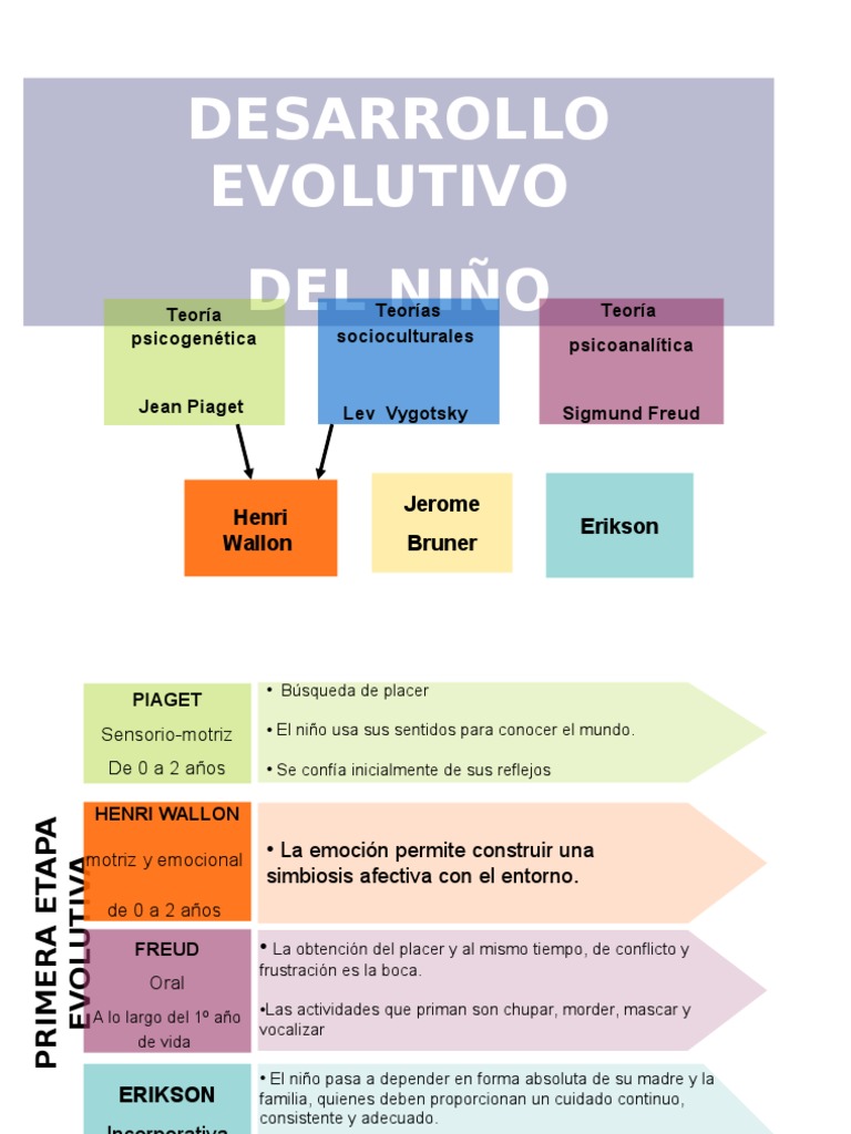 Etapas Del Desarrollo Evolutivo – HZWFVT
