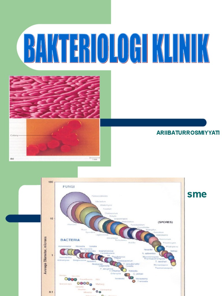 Struktur Dan Morfologi Bakteri 2 | PDF