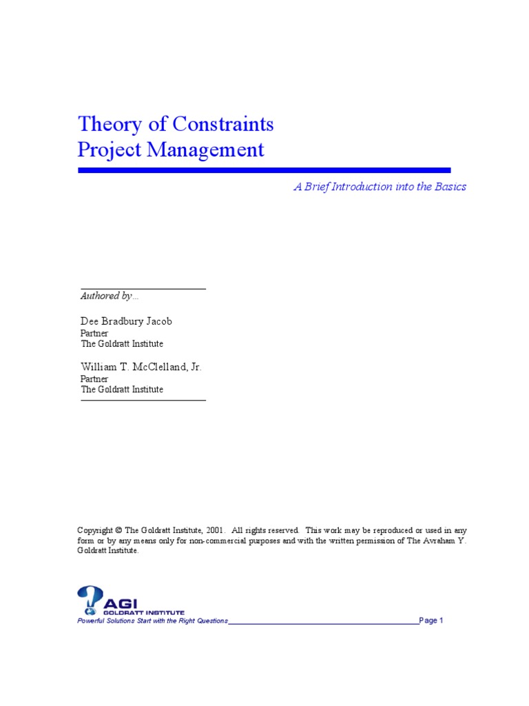 PDF Project | PDF | Project Management | Business