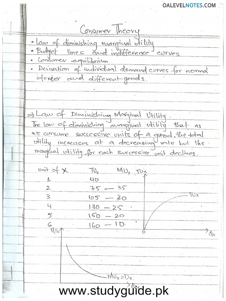 A Level Economics Part 1 Handwritten Notes | PDF