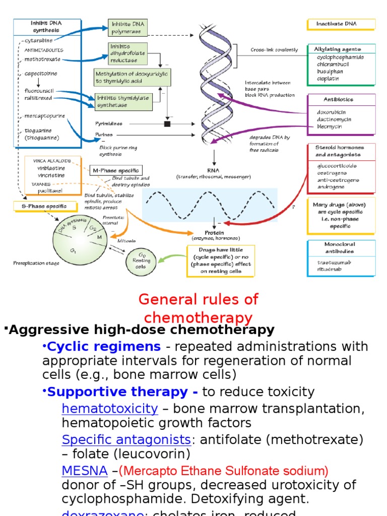 Alkylating and Antimetabolites | PDF | Chemotherapy | Cancer