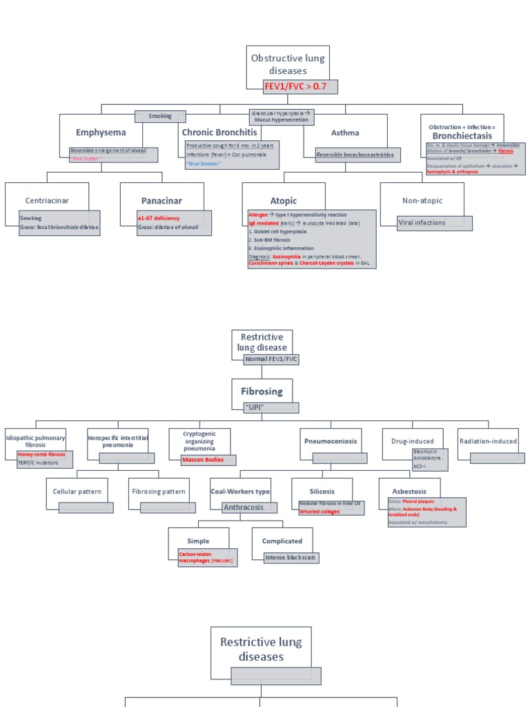 Lung Pathology Flow Charts | PDF | Lung | Chronic Obstructive Pulmonary ...