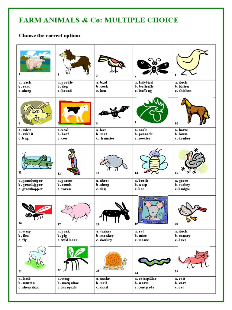 Farm Animals Quiz for Kids | PDF