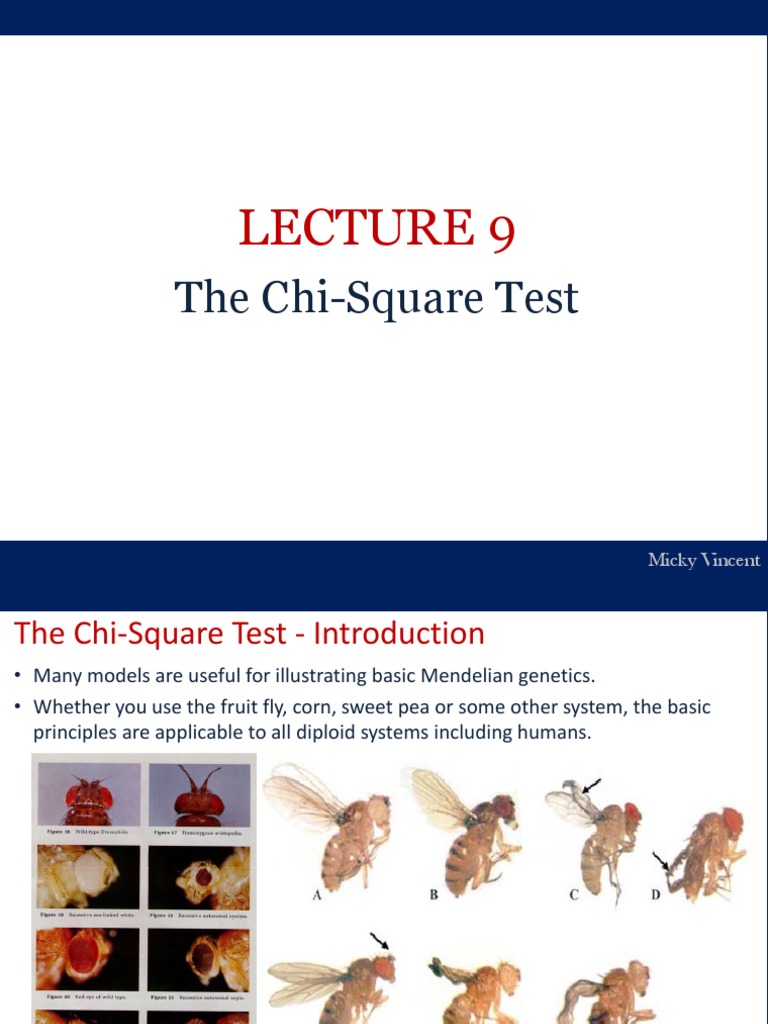 Chi-Square Test in Genetics | PDF | Chi Squared Distribution | Chi ...