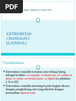 Anatomi dan Fisiologi Aksila | PDF