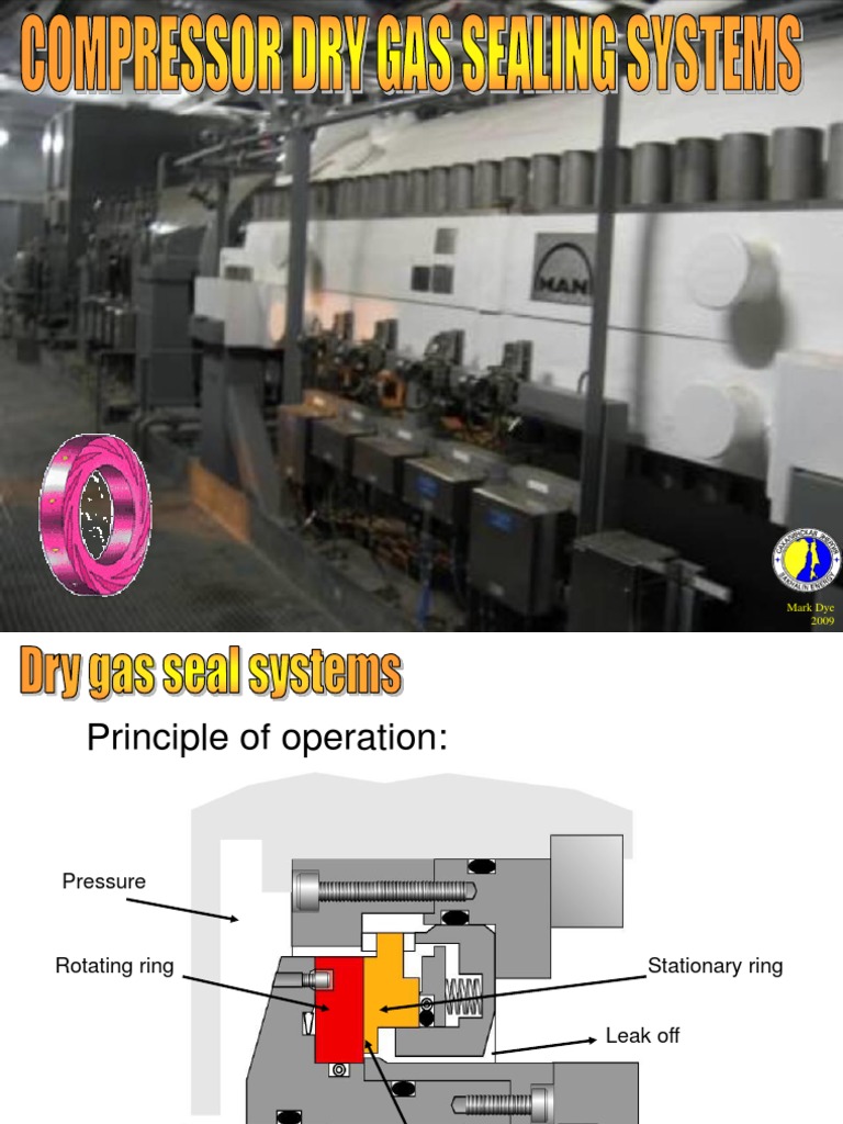 Compressor Dry Gas Seal System | PDF | Gas Compressor | Bearing ...