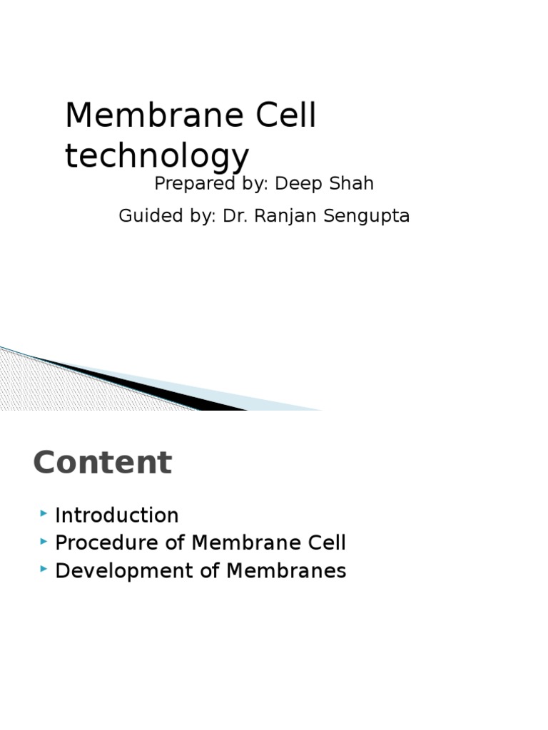 Membrane Cell Technology | PDF | Electrochemistry | Sets Of Chemical ...