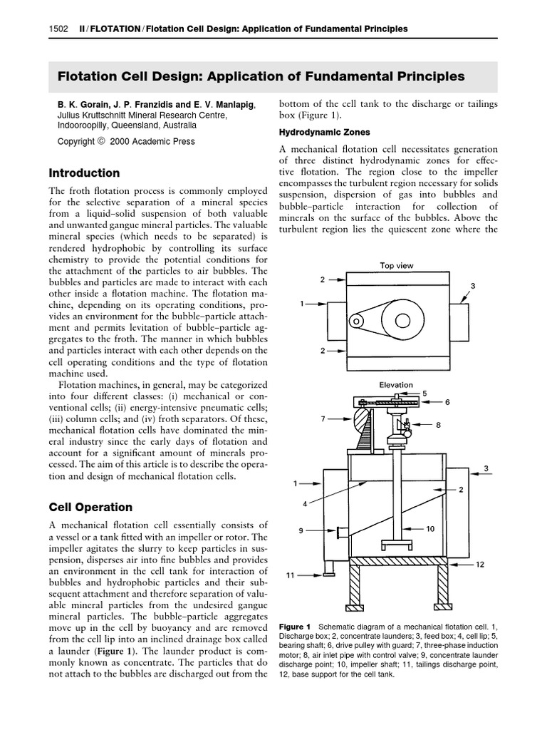 Cell Design - Application of Fundamental Principles | PDF | Chemical ...