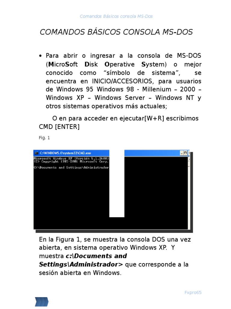 Comandos Basicos Dos (Ms-Dos) | PDF | Archivo de computadora ...