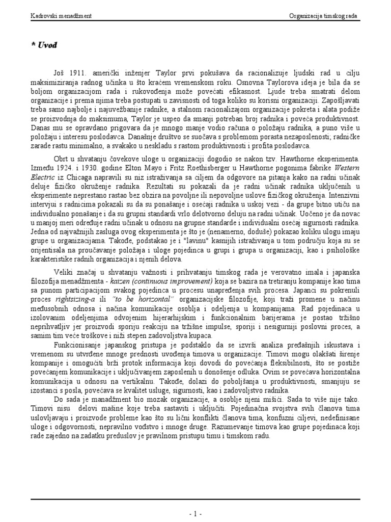 Organizacija Timskog Rada | PDF