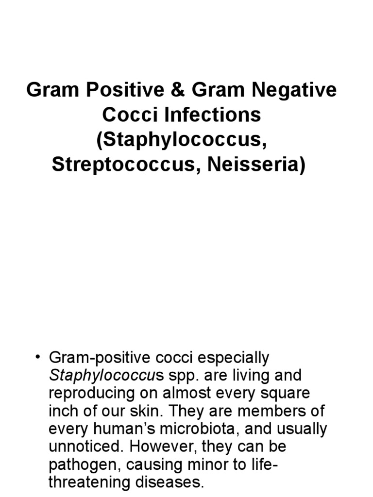 Gram Positive & Gram Negative Cocci Infections: Characteristics ...