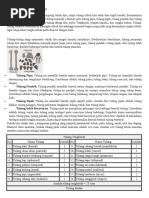 Makalah Os Costae-1 | PDF