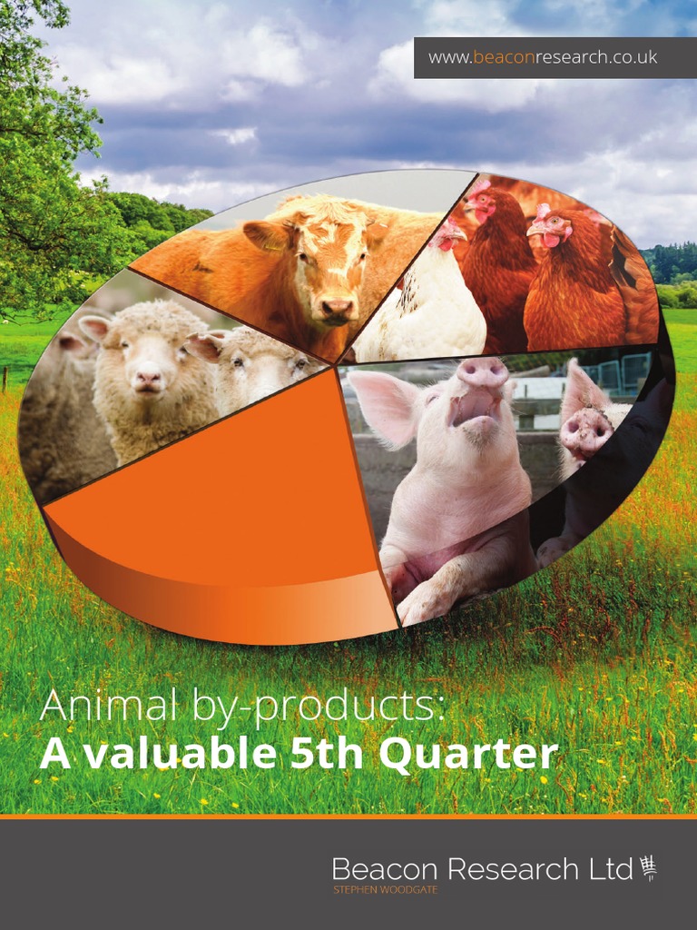 Animal By-Products:: A Valuable 5th Quarter | PDF | Biofuel ...