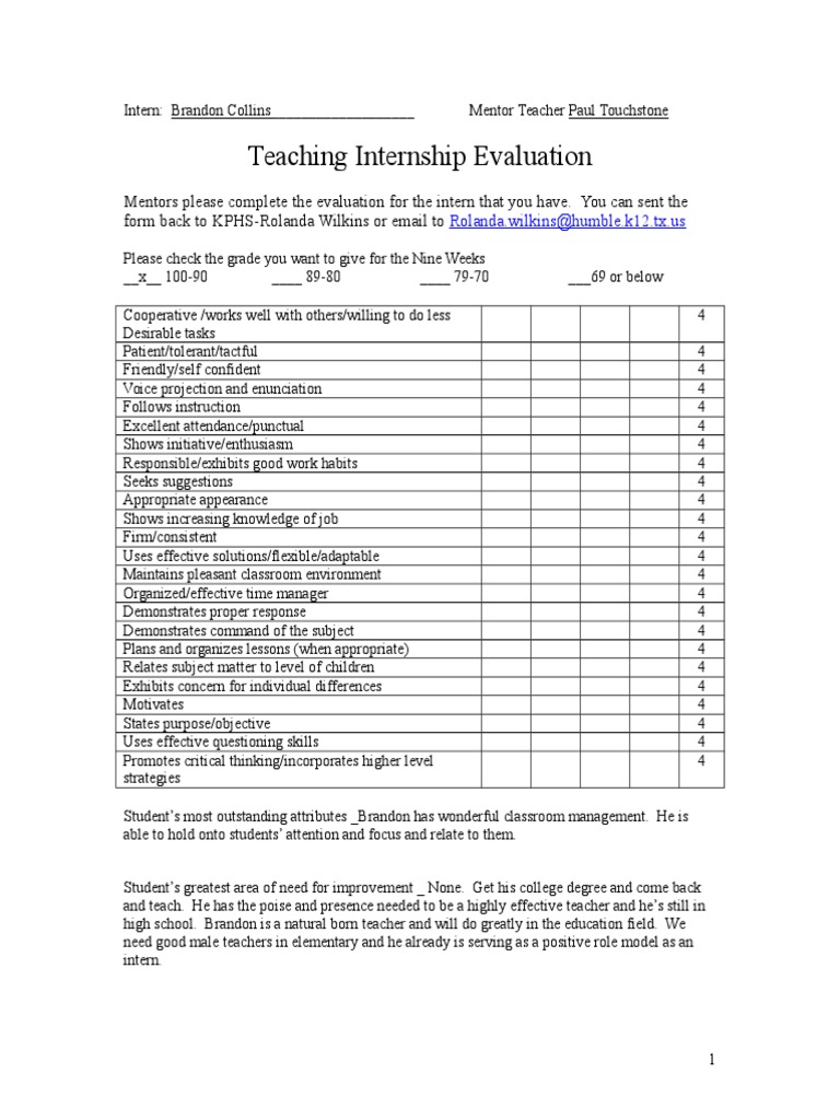Mentor Evaluation | PDF