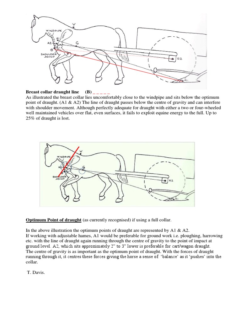 Harnessing The Power of Working Equines | PDF | Equestrianism | Horses