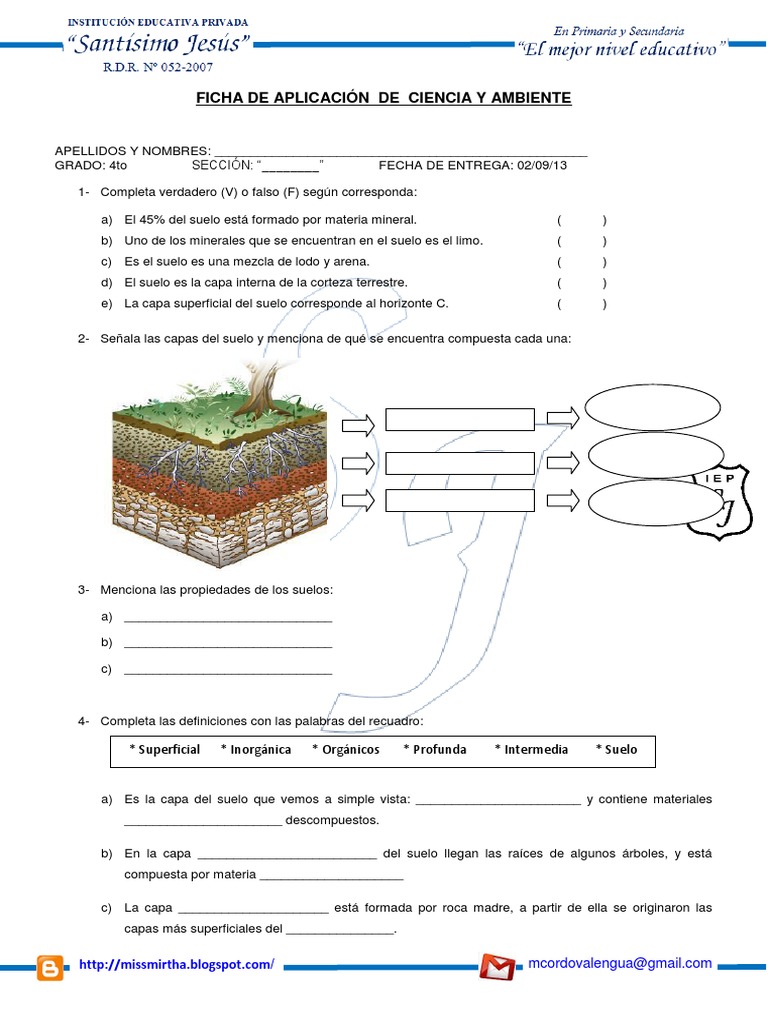 Ficha de Ciencia 4to Grado | PDF