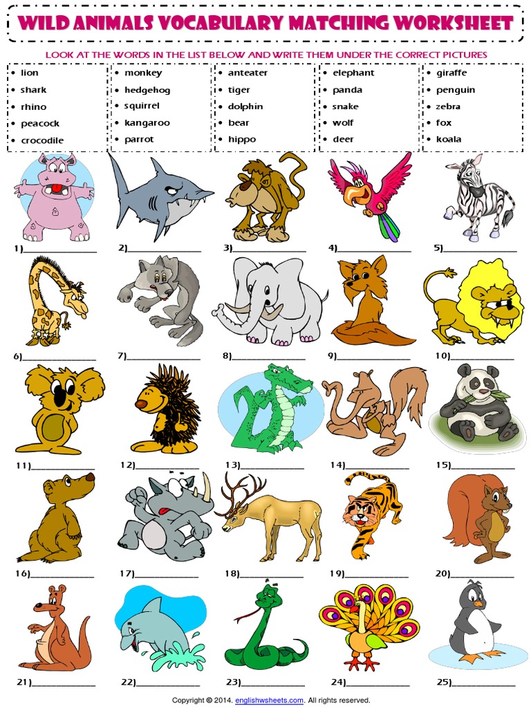 Wild Animals Esl Vocabulary Matching Exercise Worksheet | PDF ...
