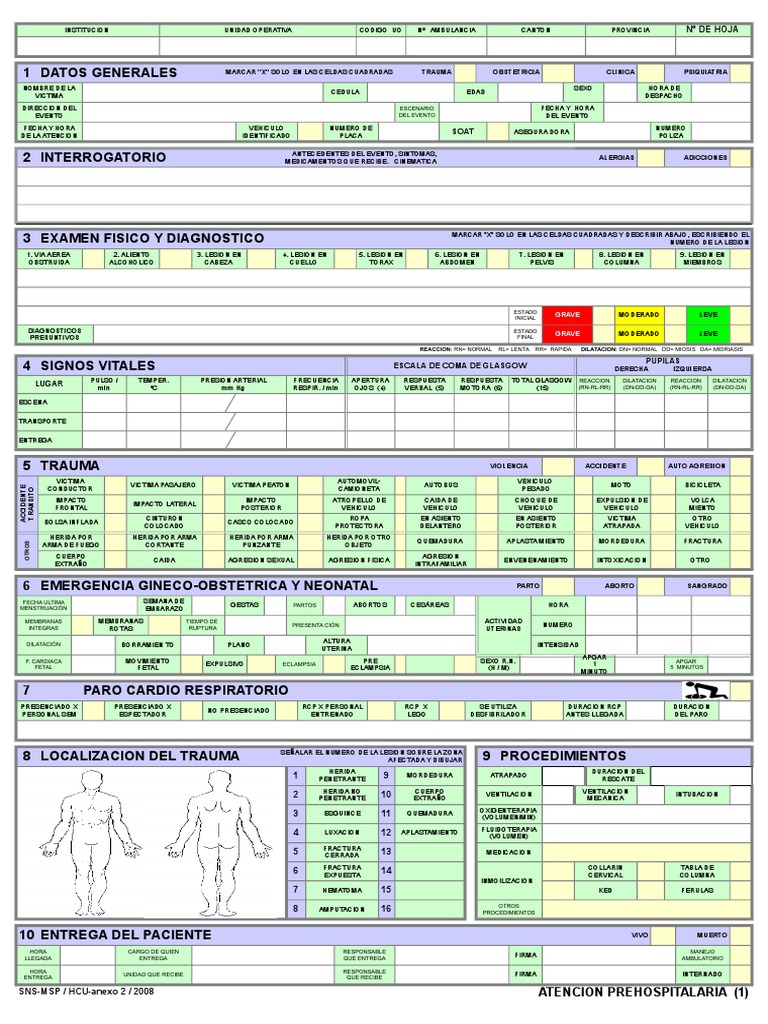 Hoja APH SOAT Imprimir | PDF