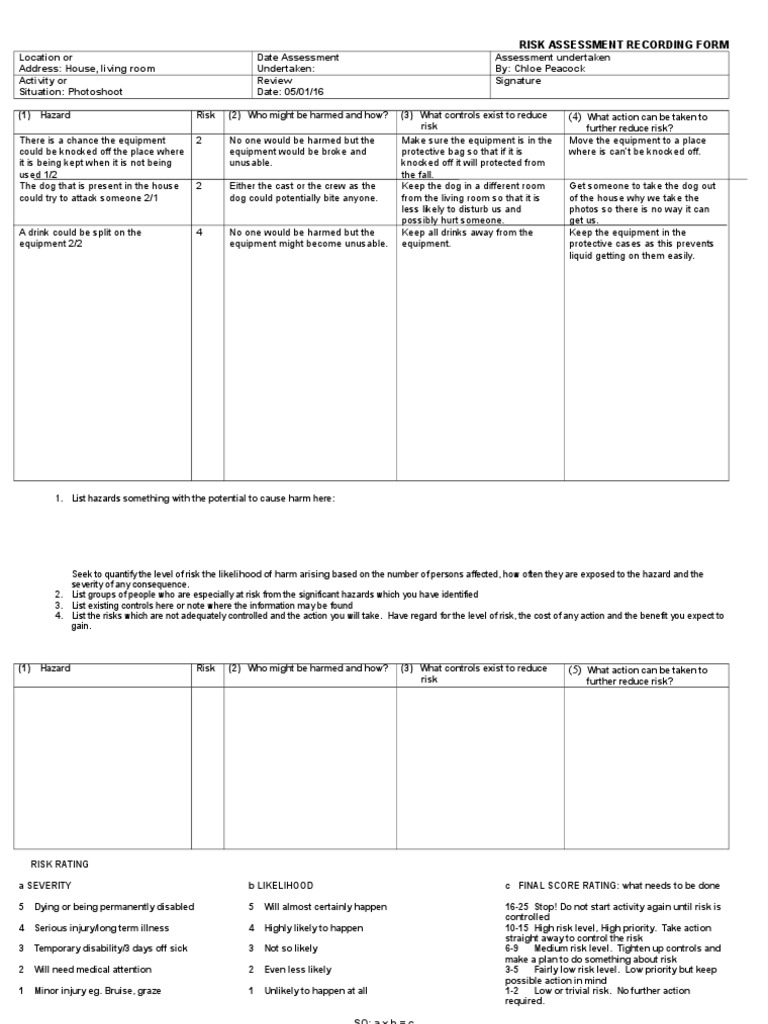 Risk Assessment - Living Room | Hazards | Risk