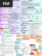 Medical Mnemonics | PDF