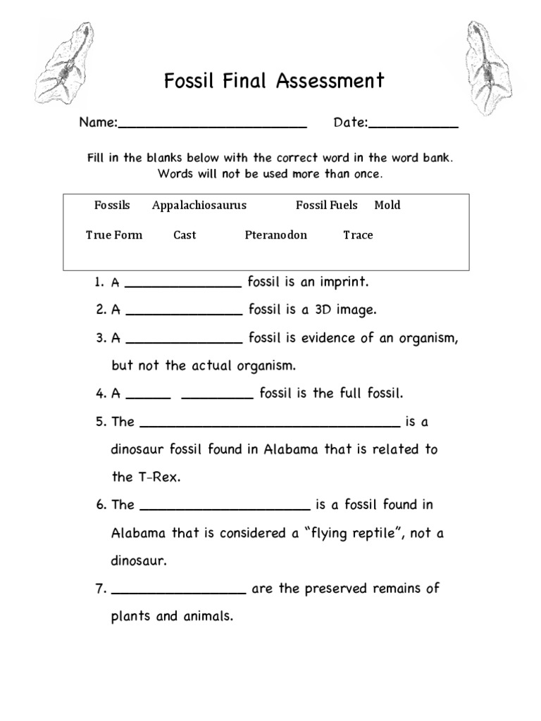 Summative Assessment PDF | PDF | Fossil | Paleontology