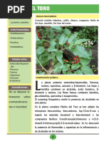 Beneficios y usos de la curarina | PDF | Diálisis | Riñón