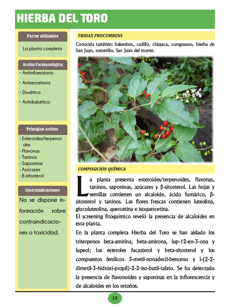 Hierba Del Toro | Flavonoide | Enfermedades de las plantas