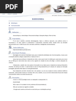 Bula do Andolba: Indicações e Posologia | PDF | Queimadura ...
