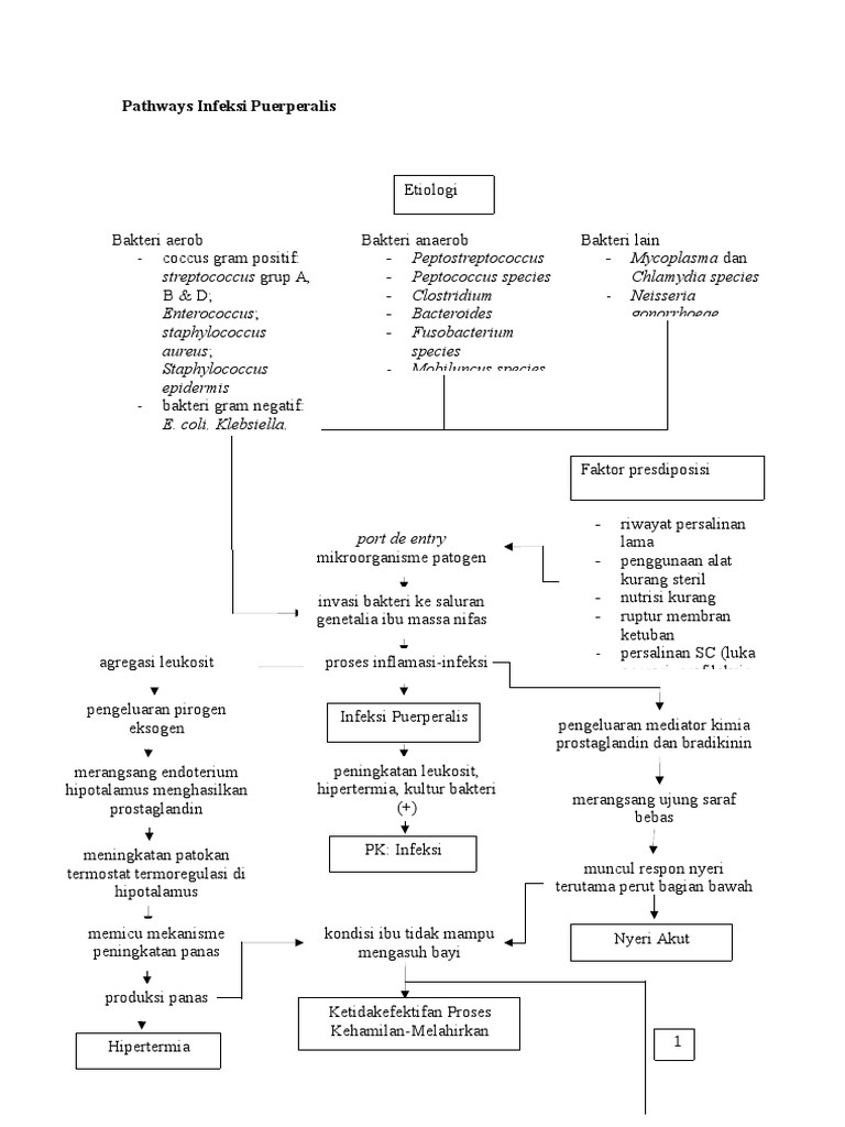 Pathways Infeksi Puerperalis | PDF