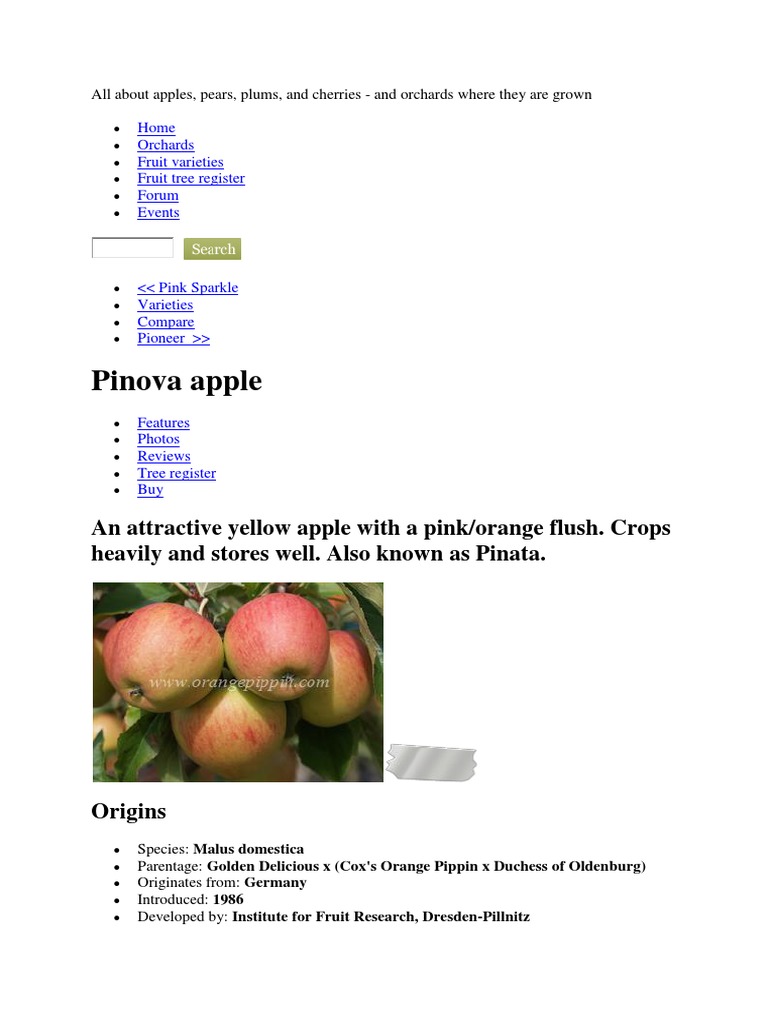 All About Apples PDF | PDF | Apple | Vegan Cuisine